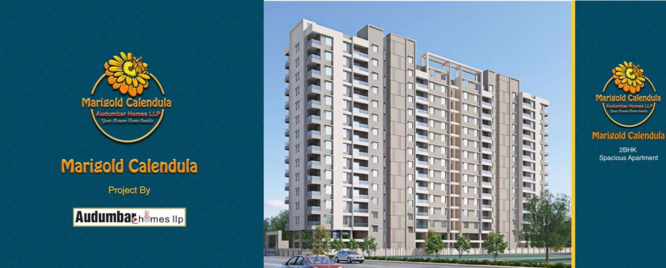 Marigold Calendula by Audumbar Homes LLP Pimple Nilakh, Pune